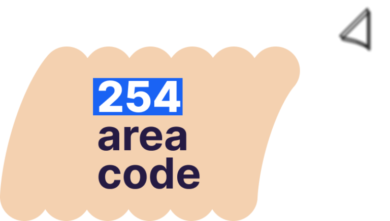 Exploring the Unique Identity of the 254 Area Code